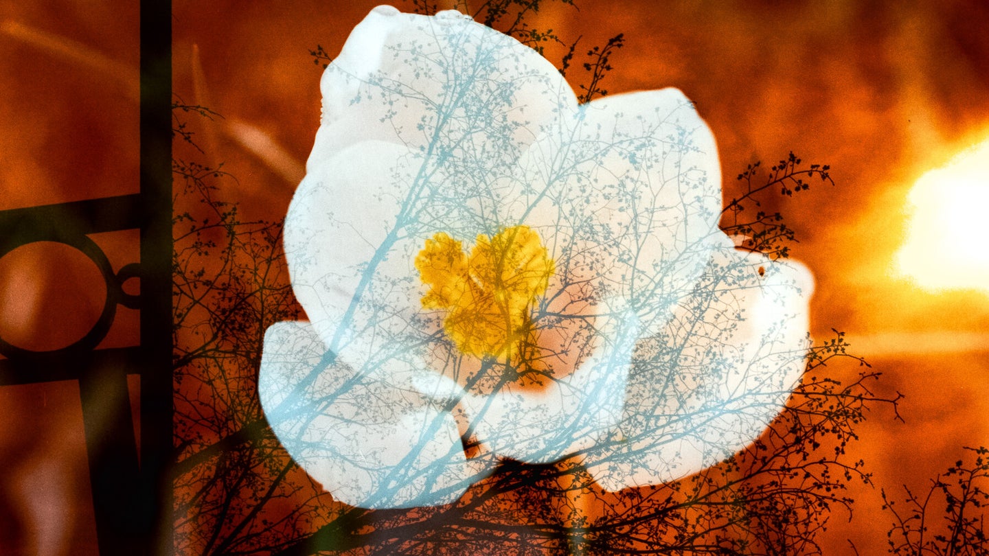 How to shoot epic landscape photos of the night sky | Popular Photography