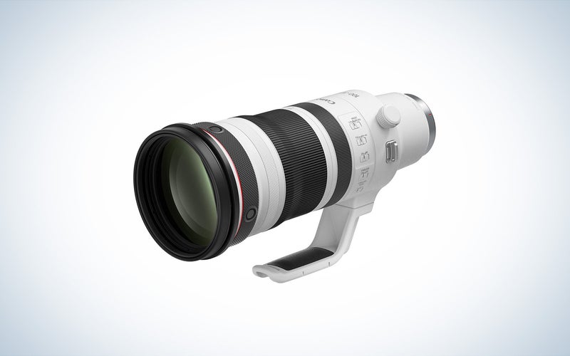 The best telephoto lenses for Canon in 2023 | Popular Photography