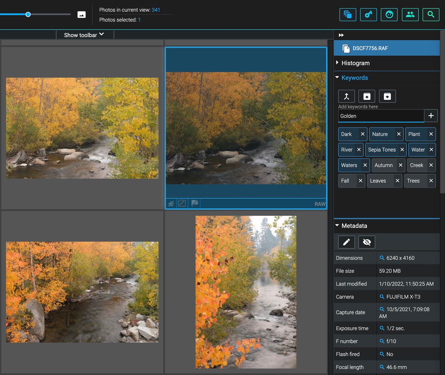 Excire Foto 2022 makes managing metadata easy | Popular Photography
