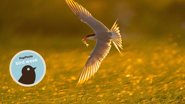 The Top 10 Photography Lighting Facts You Should Know | Popular Photography