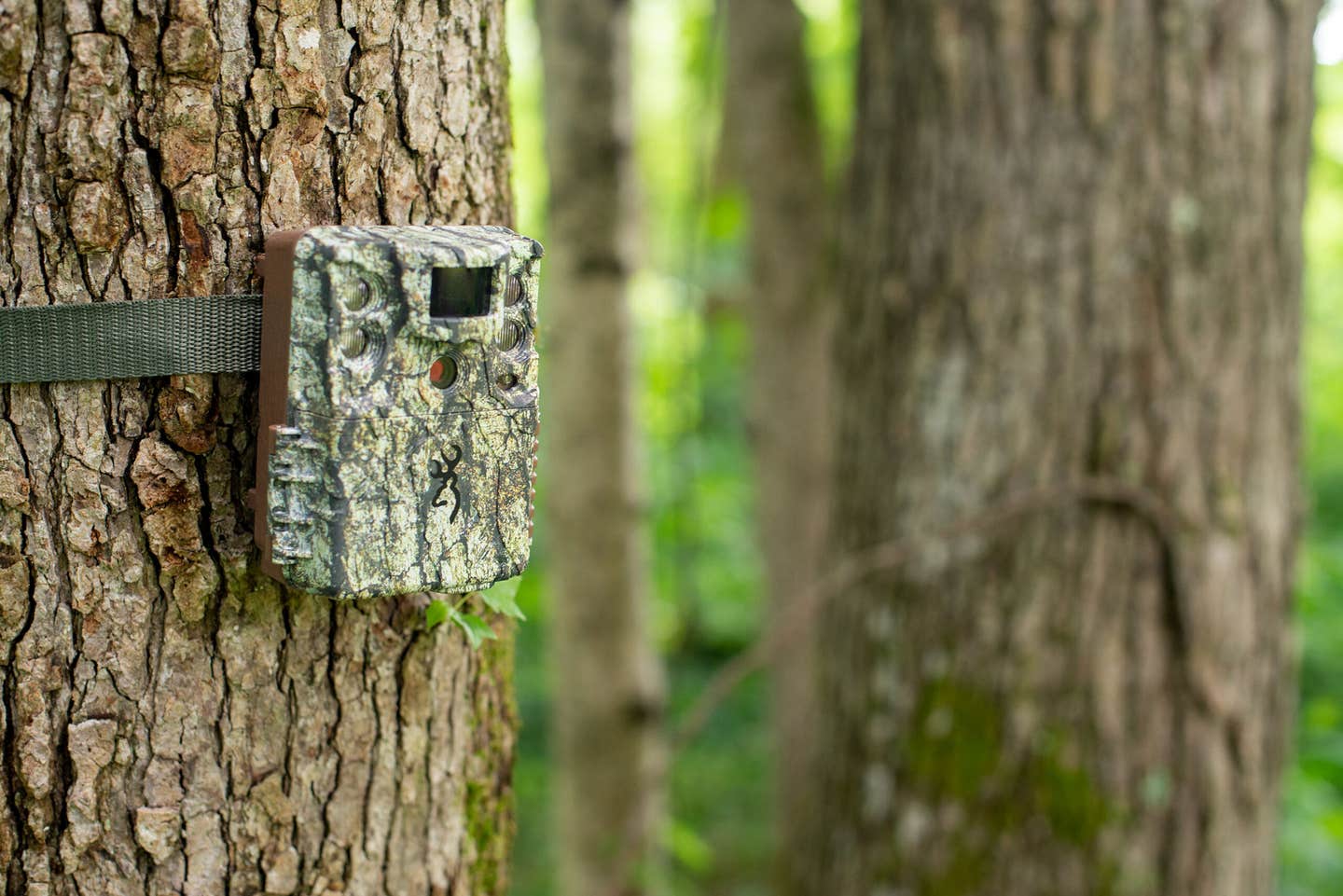 How to use a trail camera for hunting | Popular Photography